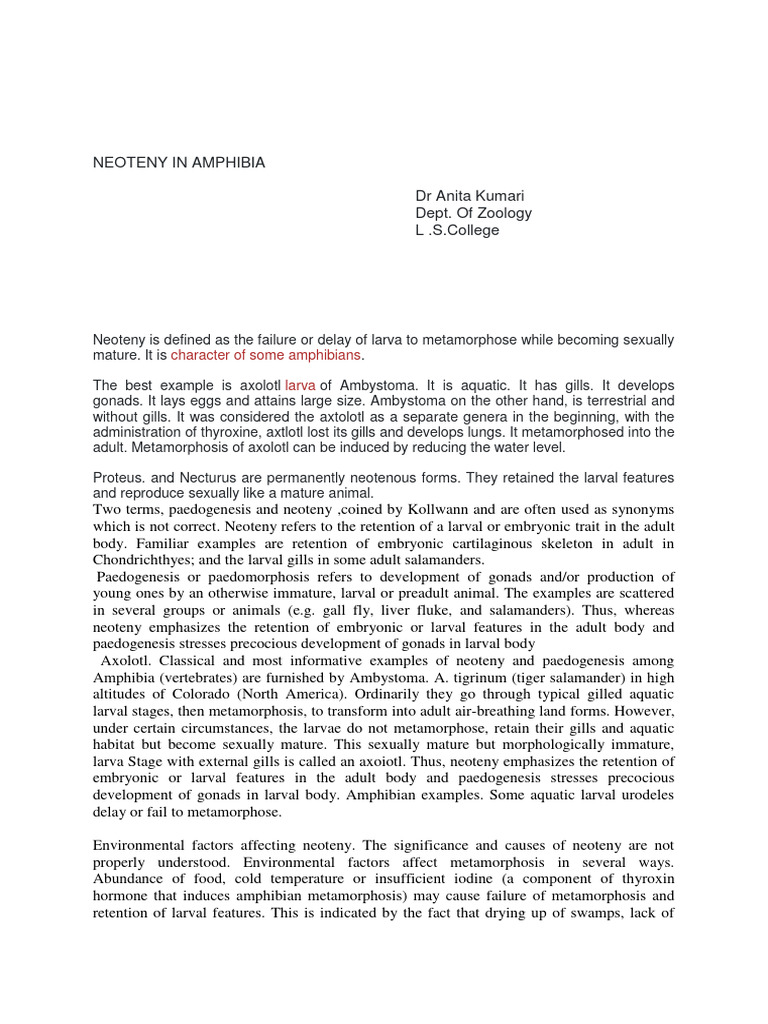 Neoteny in Amphibia 1 - 0 | Download Free PDF | Amphibian | Zoology
