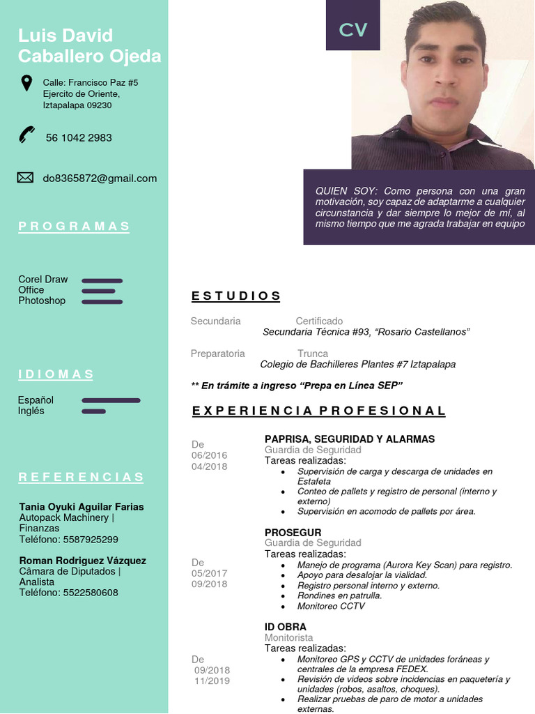 CV Luis David Caballero Ojeda | PDF