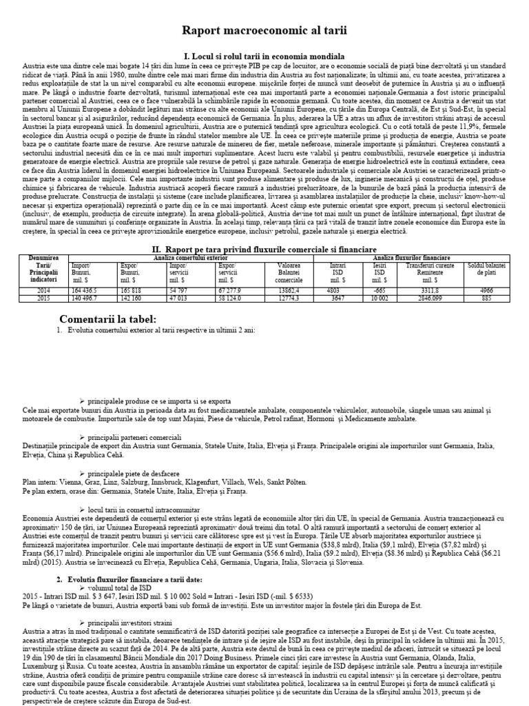Raport Pe Tara Machet Austria | PDF