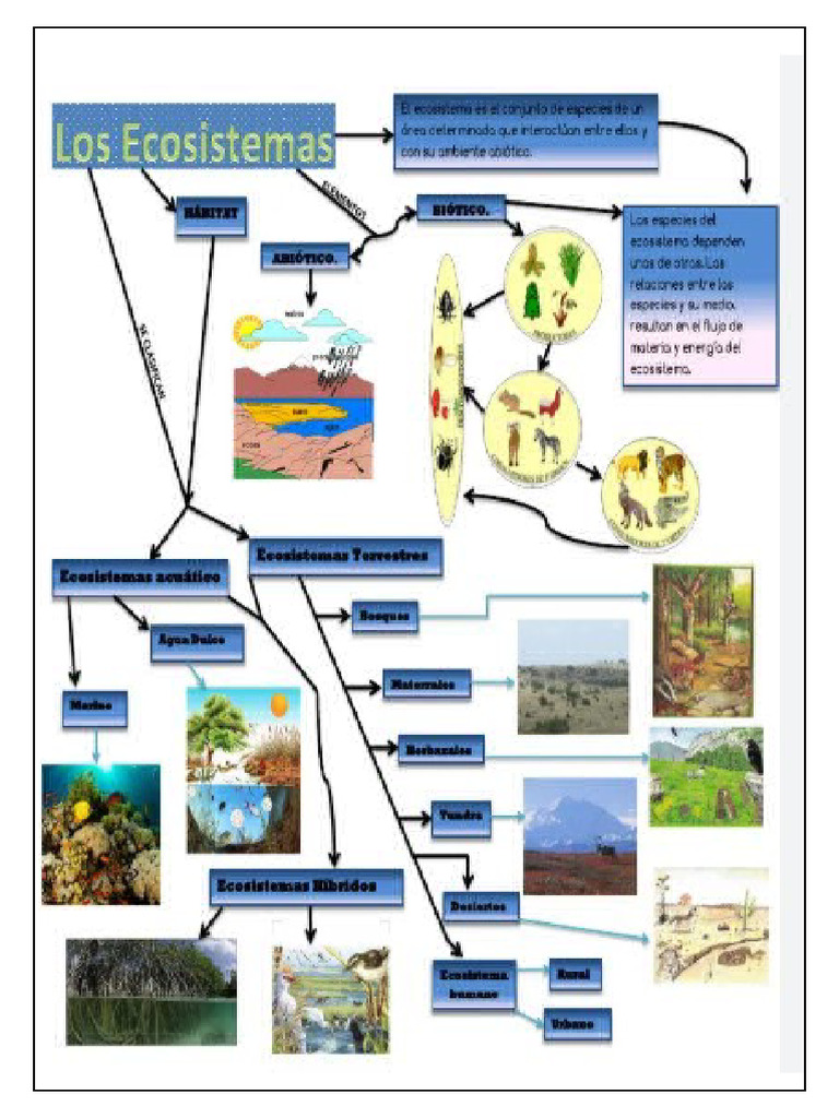 Mapa Mental Vertical | PDF