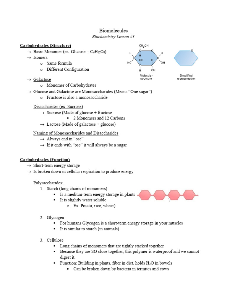 Biomolecules Notes | PDF