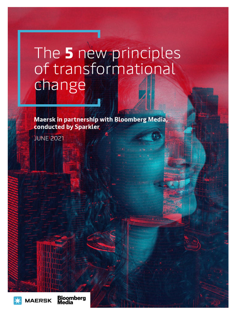 The 5 New Principles of Transformational Change Whitepaper | PDF ...