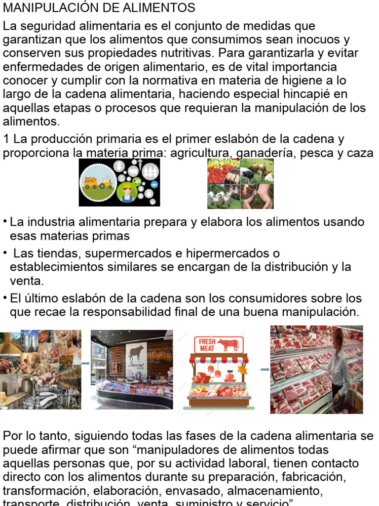 Manipulador De Alimento Descargar Gratis Pdf Alimentos