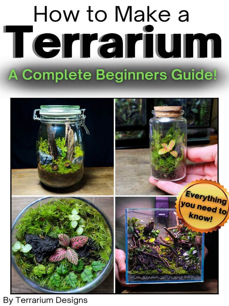How To Make A Terrarium - Ebook | PDF | Moss | Decomposition