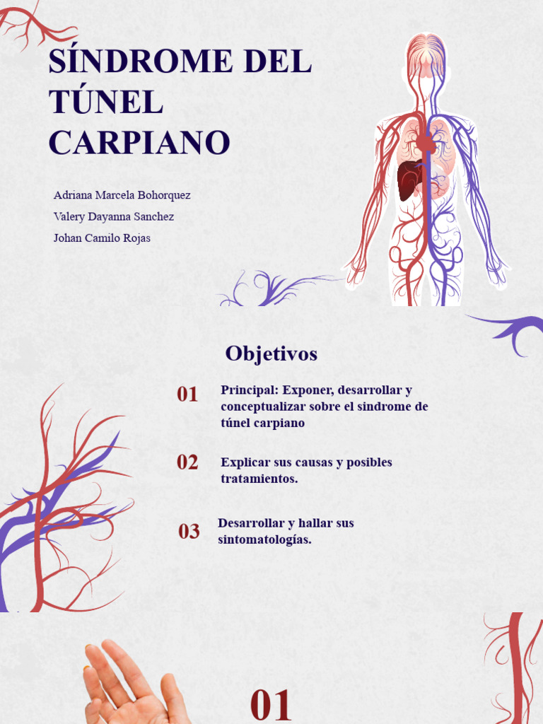 Síndrome Del Túnel Carpiano | PDF | Síndrome del túnel carpiano ...
