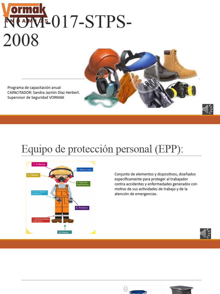 Nom 017 STPS 2008 | PDF