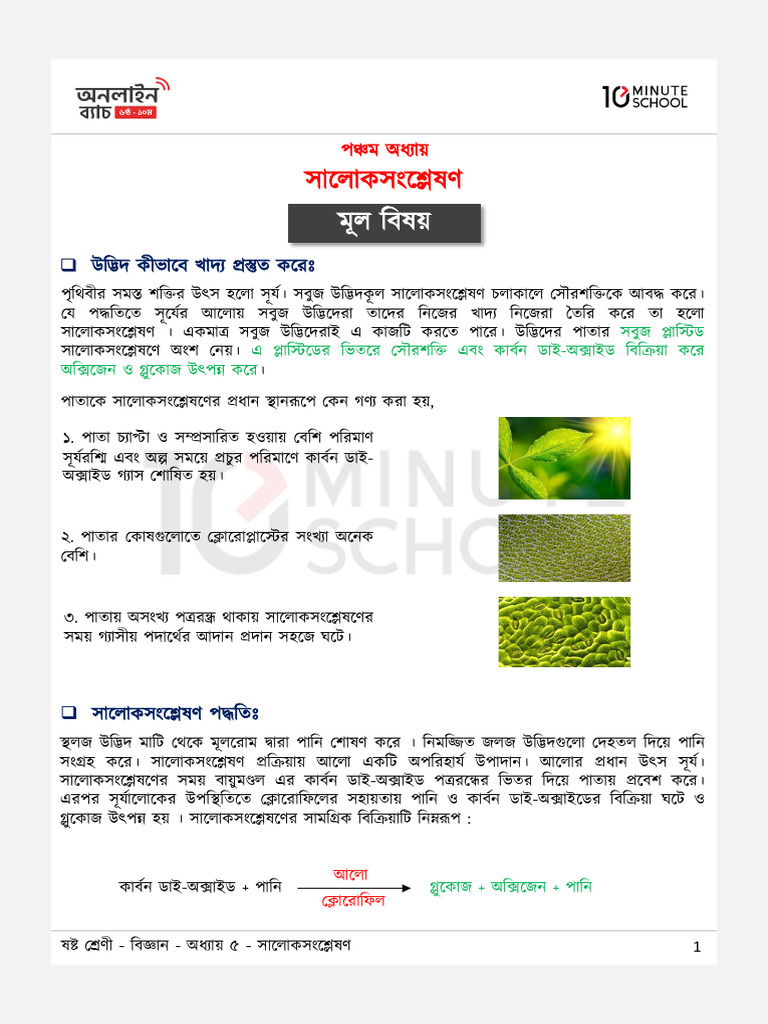 Class 6 - Science - Chapter - 5 | PDF