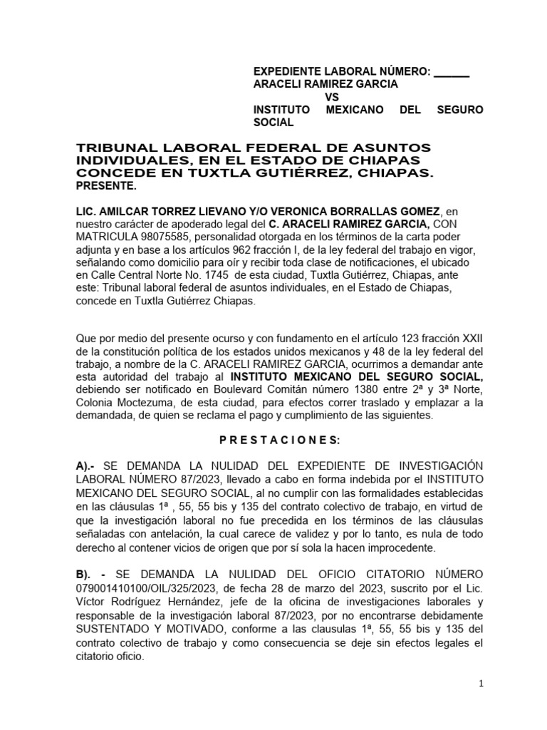 Demanda Araceli Ramirez | PDF