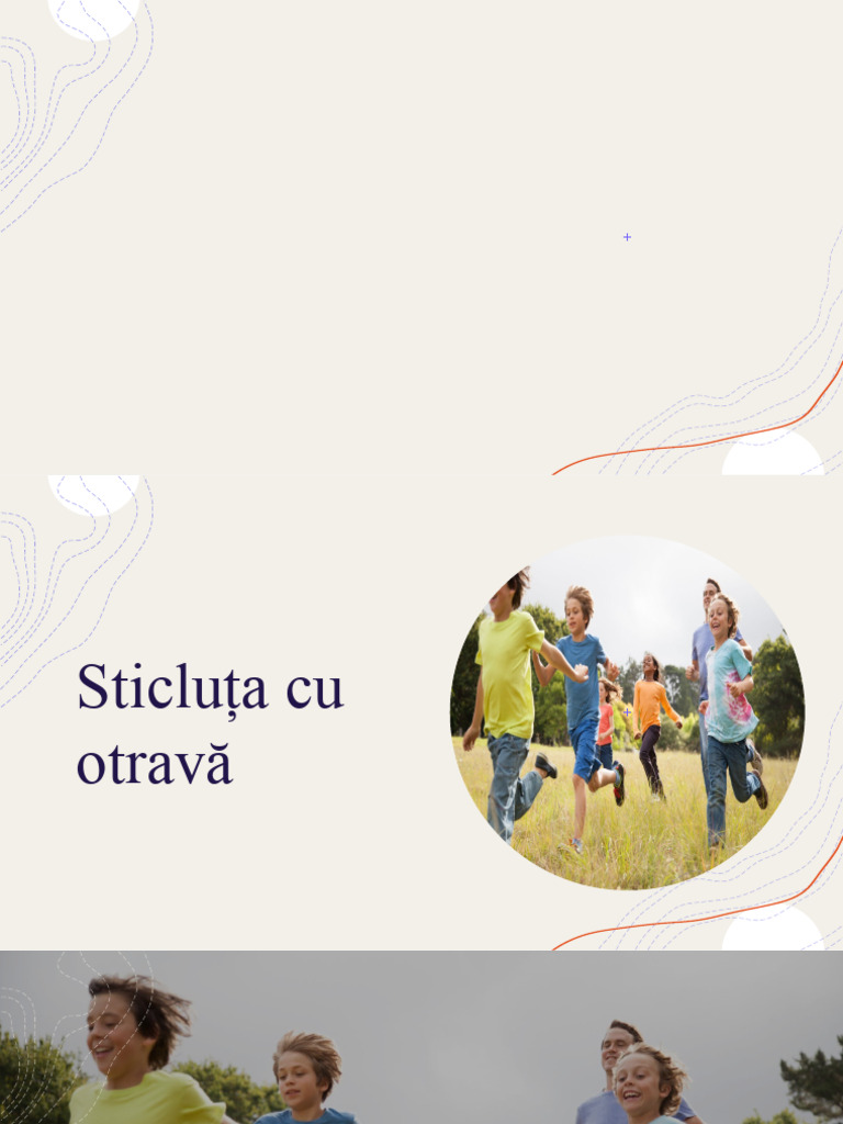 Proiect Romana Joc | PDF