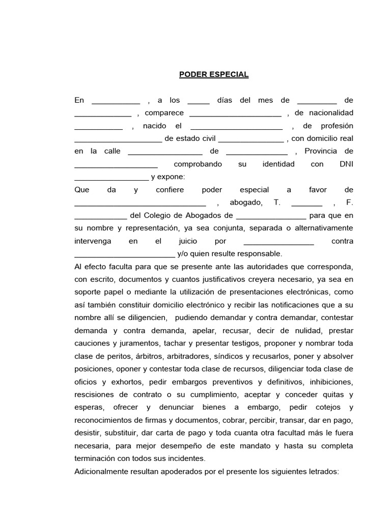 Modelo Poder Especial | PDF