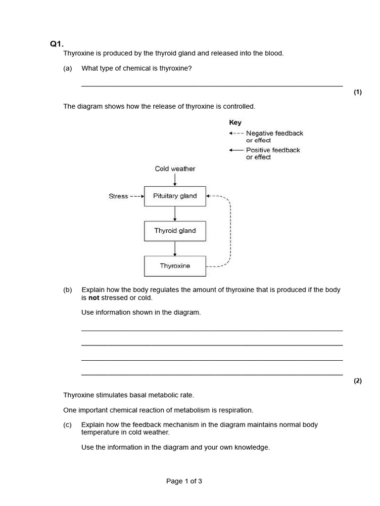 Exam Questions | PDF