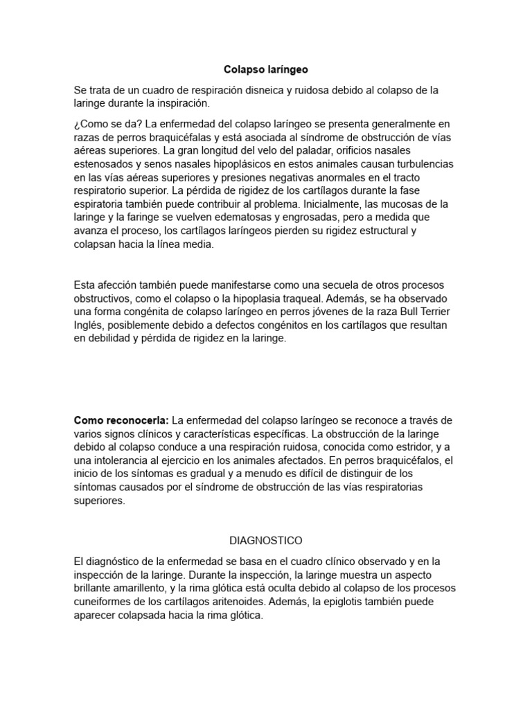 Colapso Laríngeo en Perros | PDF | Tos | Laringe