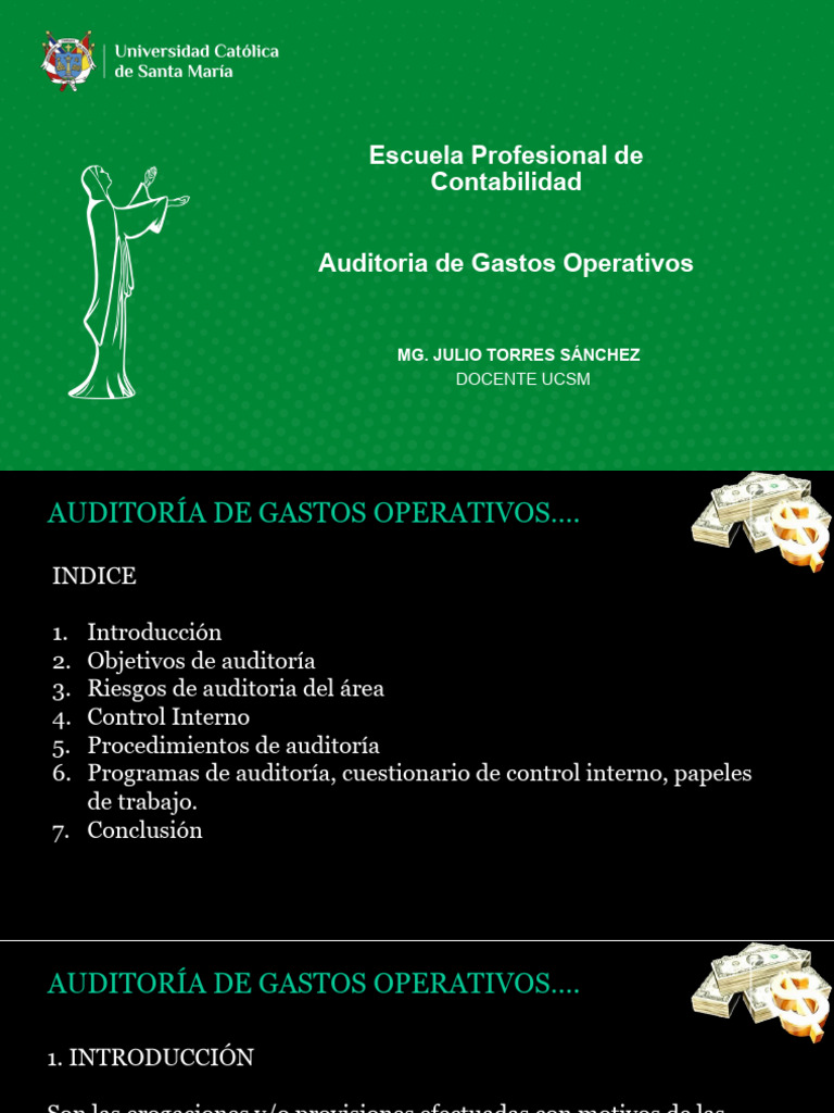 Programa Gastos Operativos | Descargar gratis PDF | Auditoría ...