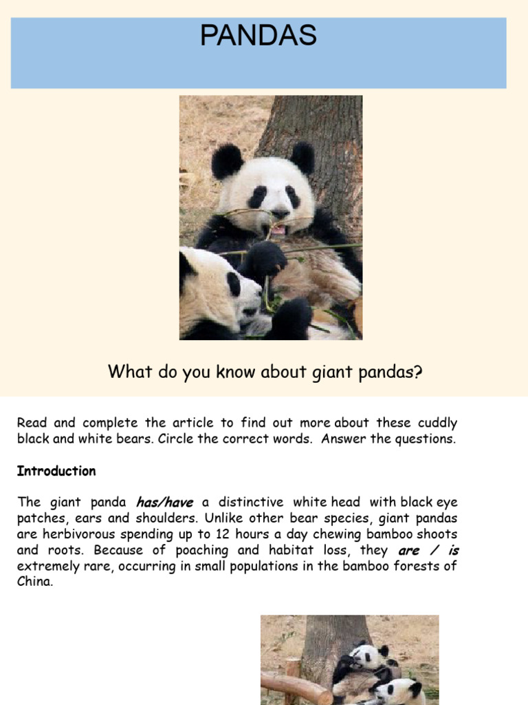 Pandas | PDF
