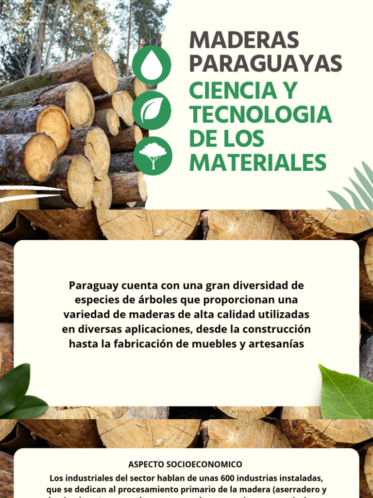 EL Guatambu | PDF | Madera | Paraguay