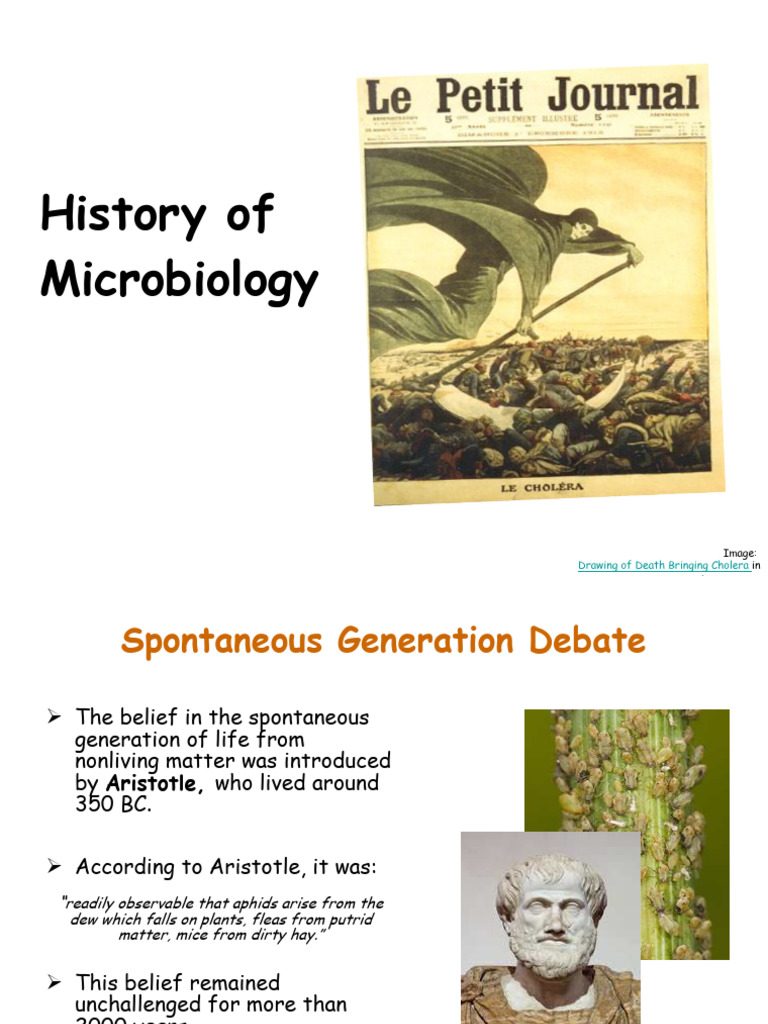 History of Microbiology Overview | PDF | Rabies | Bacteria