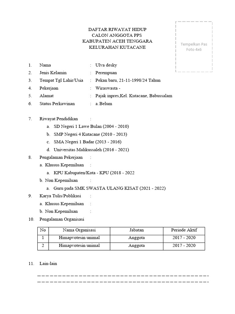 Daftar Riwayat Hidup Pps | PDF