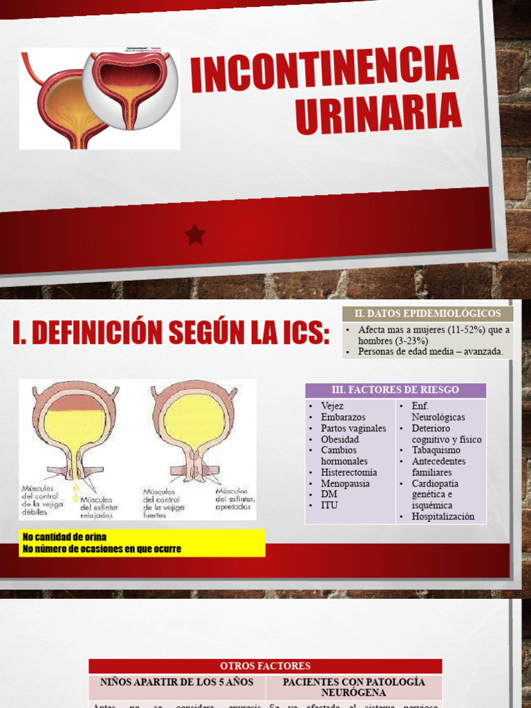 Incontinencia Urinaria | PDF | Incontinencia urinaria | Músculo esquelético
