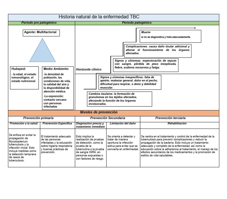 Historia Natural de La Enfermedad TBC | PDF