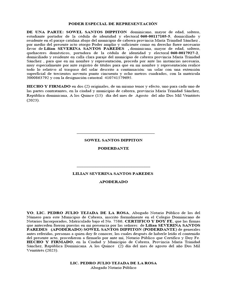 Poder Especial de Representación | PDF