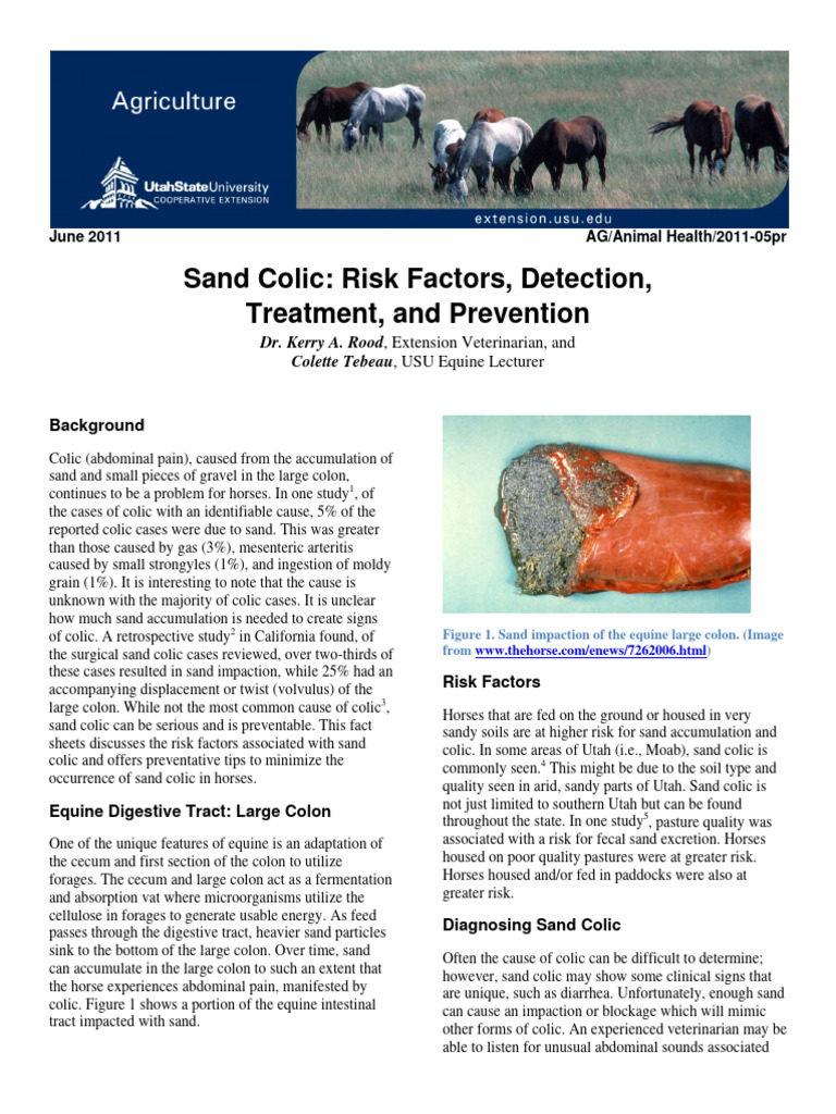 Sand Colic - Risk Factors Detection Treatment and Prevention | PDF