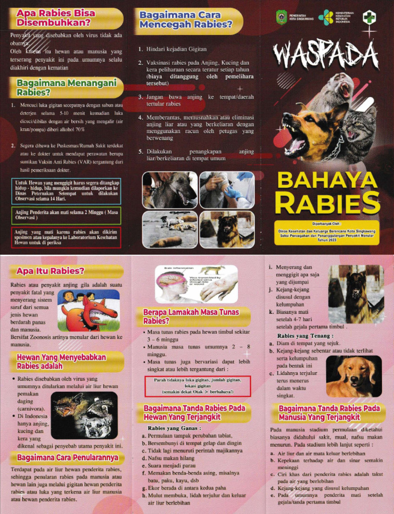 Leaflet Edit Pdf