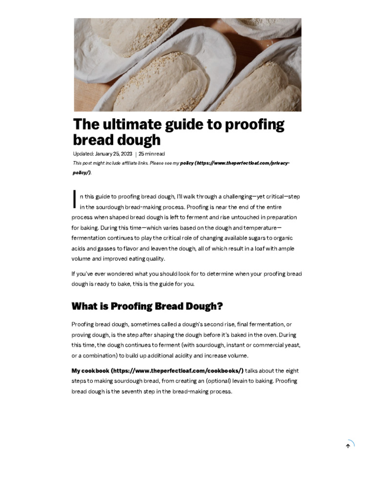 Guide To Proofing | Download Free PDF | Breads | Sourdough