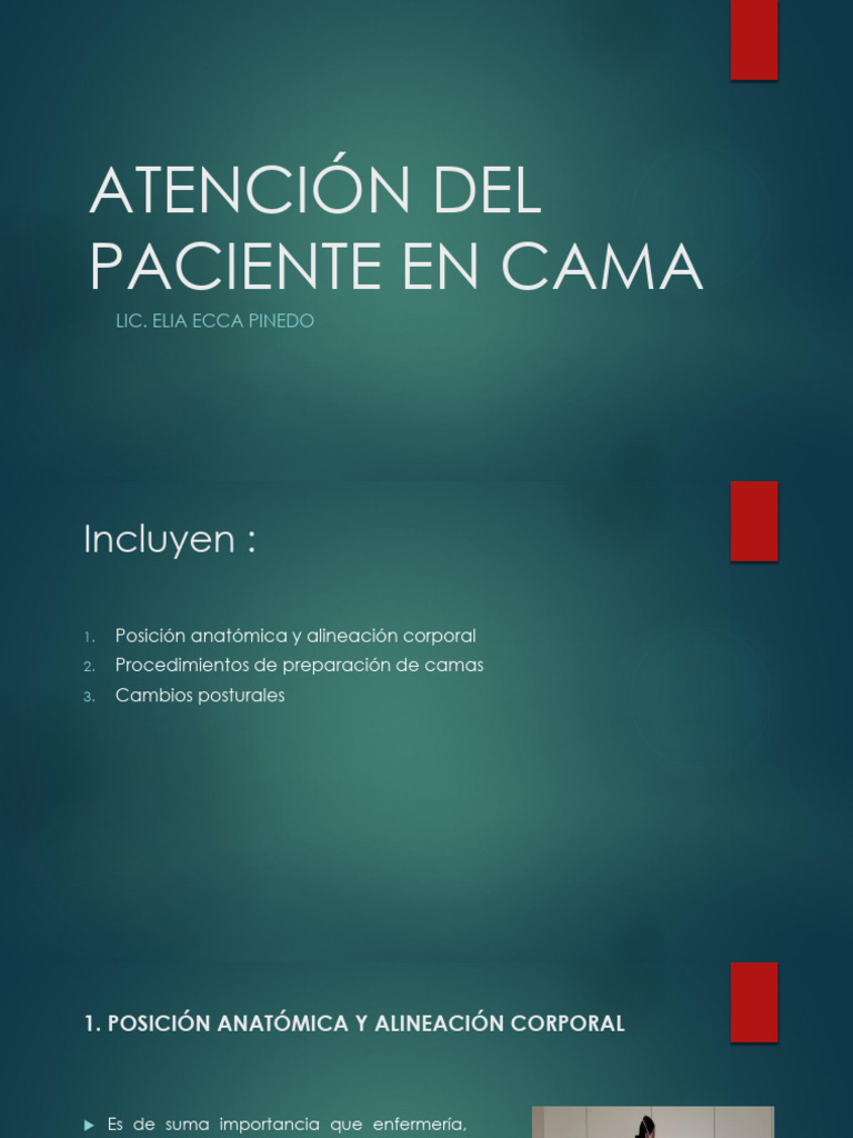 PC en Cama | PDF