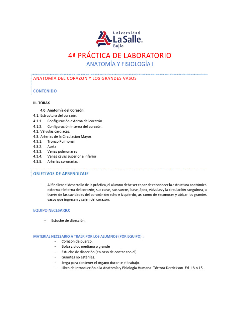 4a Práctica Lab Anatomia Del Corazón y Grandes Vasos | PDF | Ciencia y matemáticas
