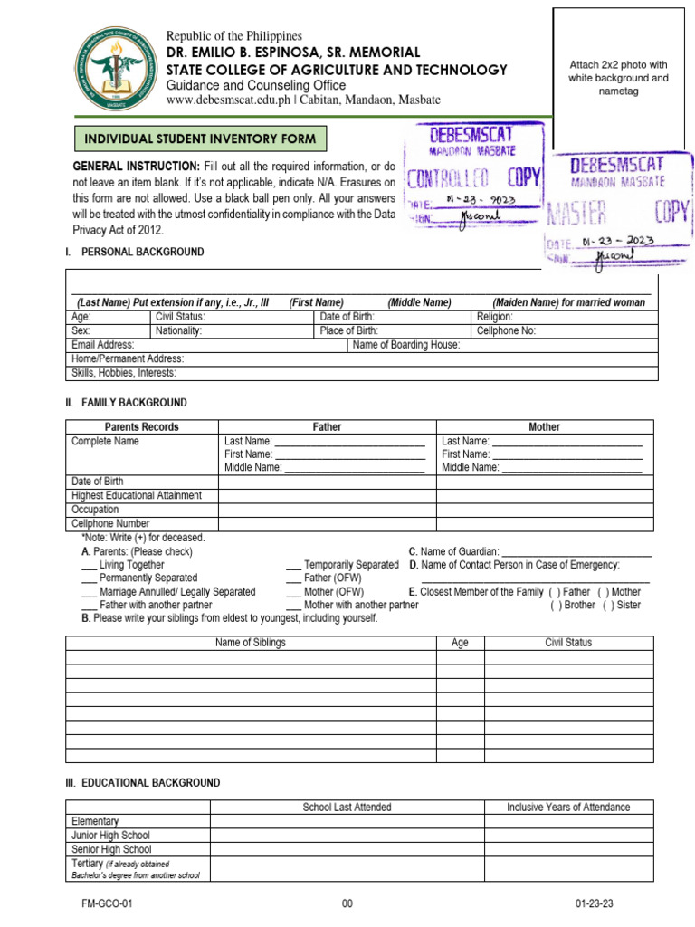 Individual Student Inventory Form | PDF | Disability