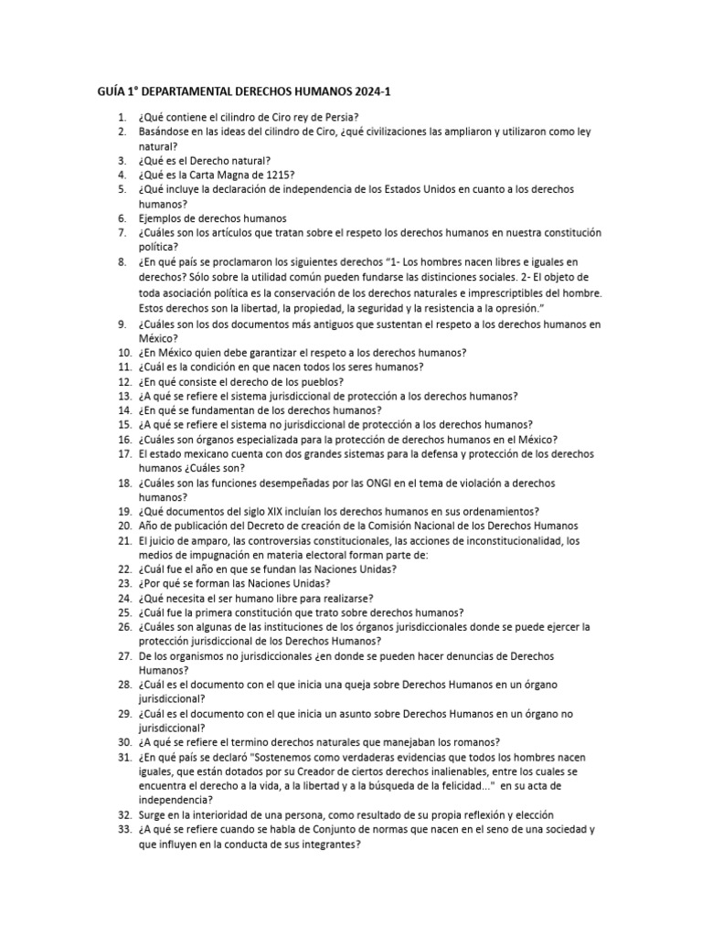 Guía de Derechos Humanos 2024-1 | PDF