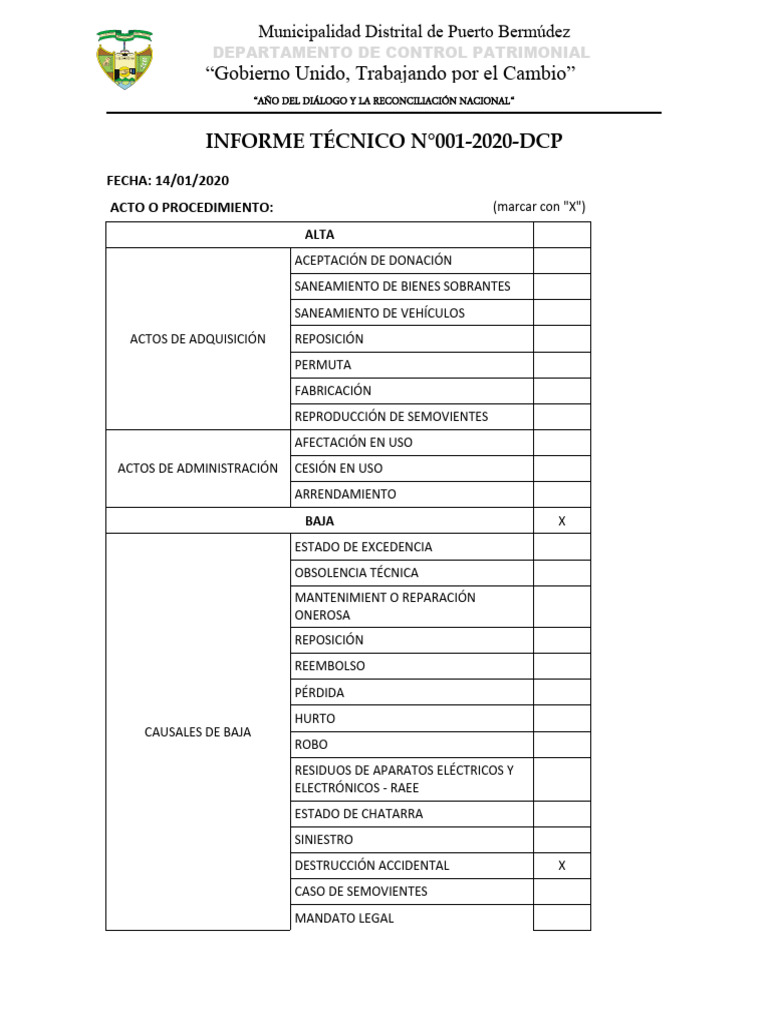 Informe Técnico 001-2020 | PDF