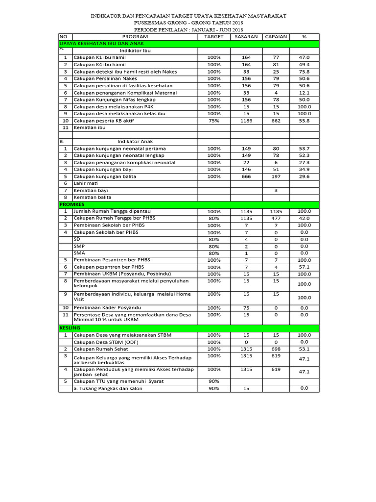 Hasil Capaian Program 2020 | PDF