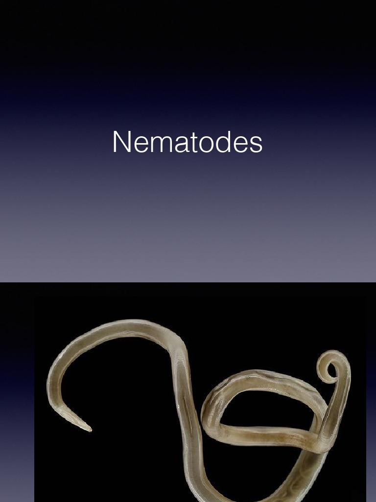Galeria Nematodes | PDF