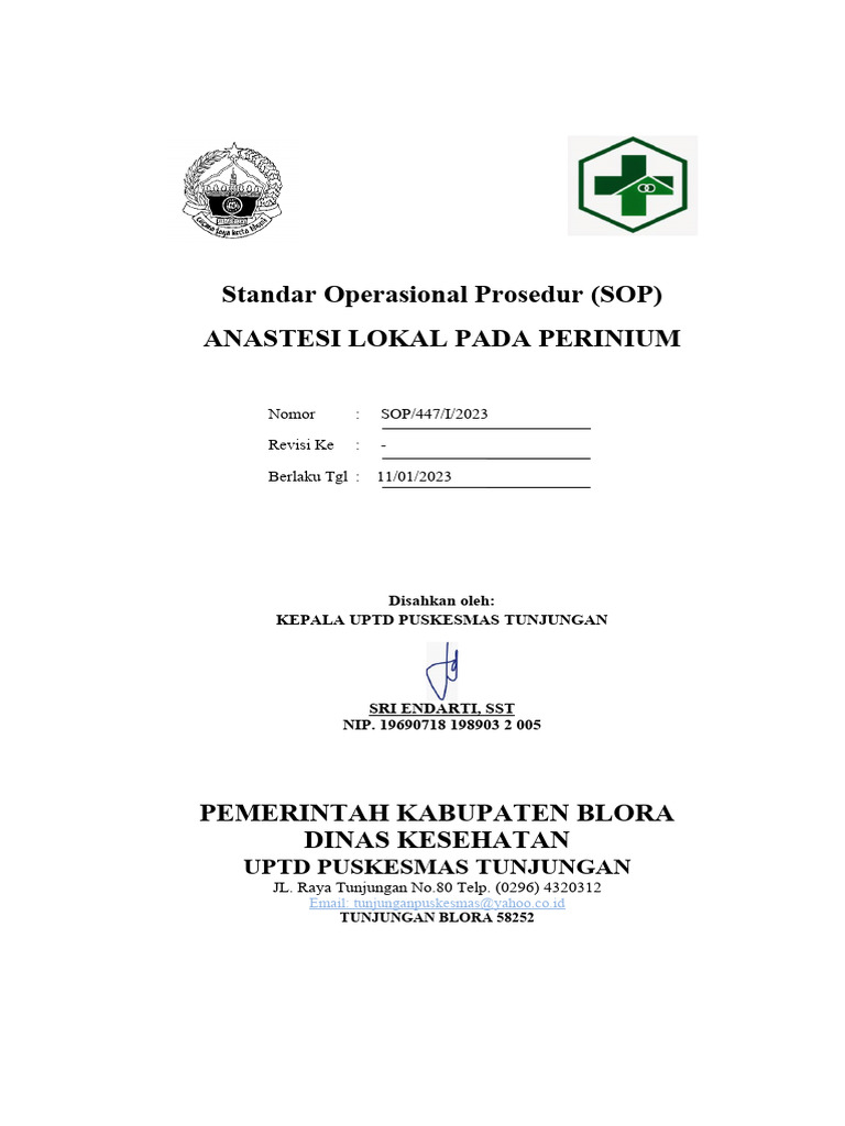 Prosedur Anestesi Lokal Perineum | PDF