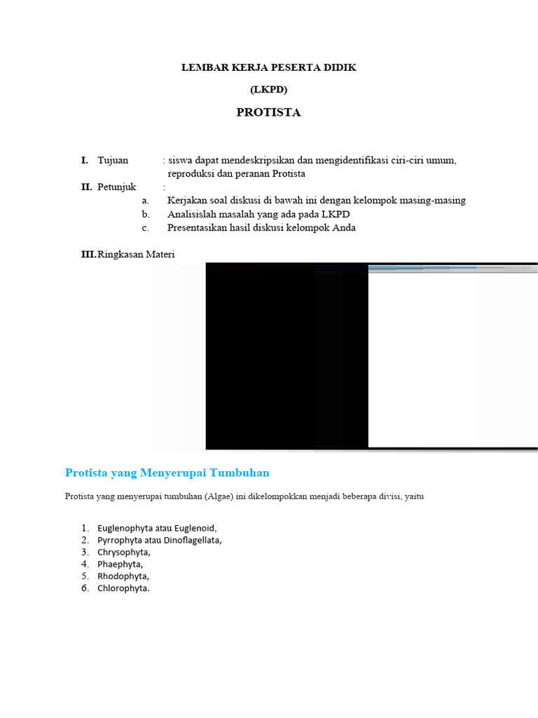 LKPD Protista | PDF