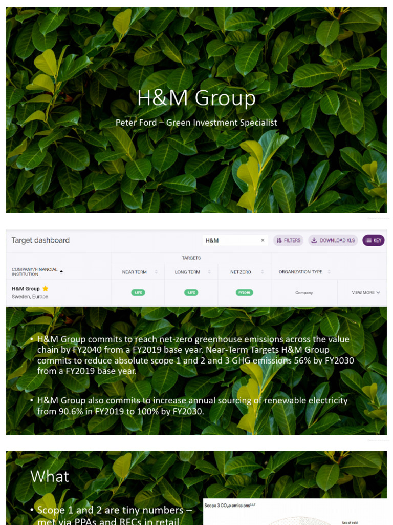 Peter Ford H&M Group - Usaid Presentation | PDF