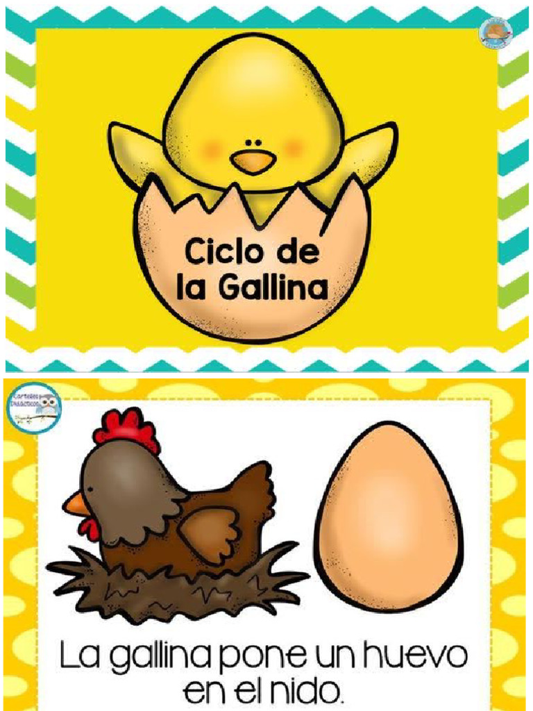anexo ciclo de vida de la gallina | PDF