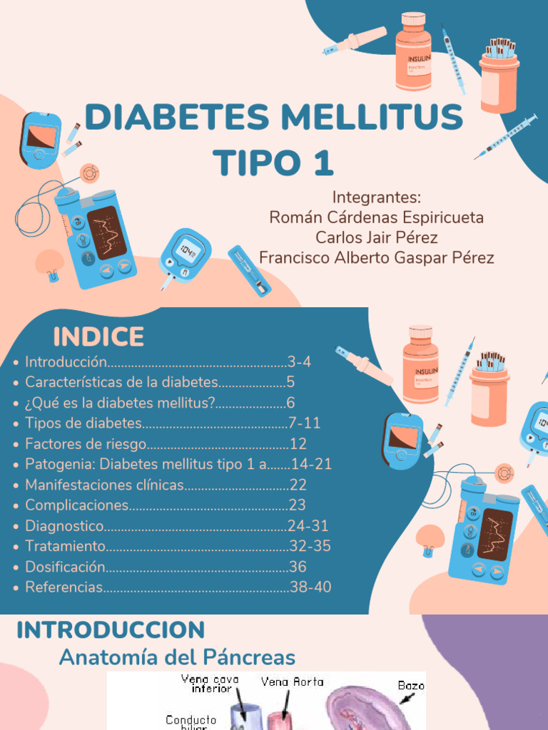 Diabetes Mellitus Tipo 1 | PDF | Diabetes | Insulina