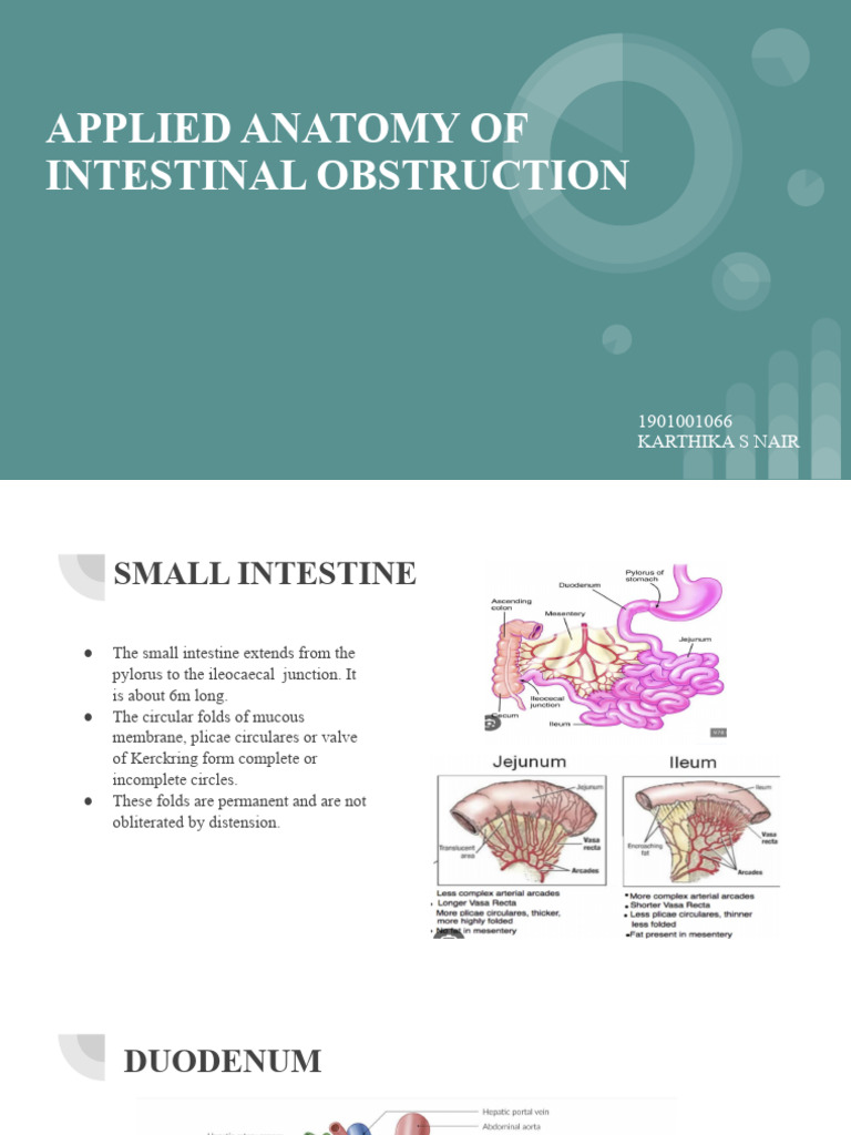 Applied Anatomy Of Intestinal Obstruction Pdf
