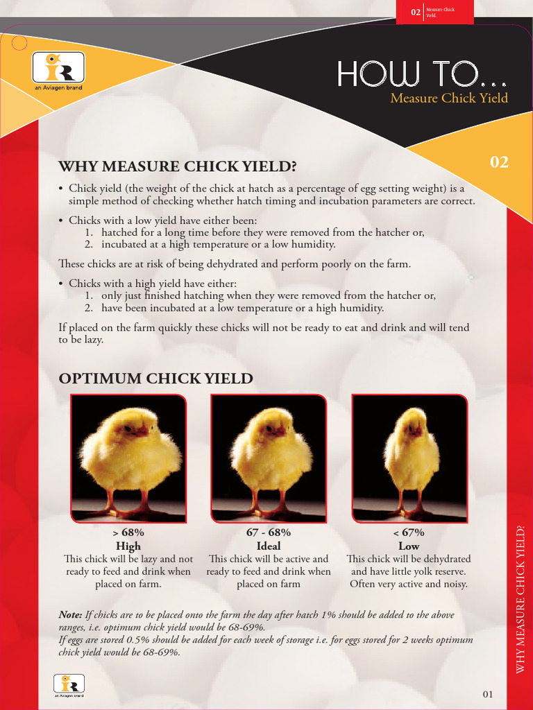IR How To 2 Measure Chick Yield | PDF | Birds | Ornithology