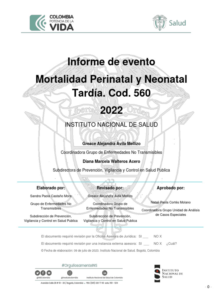 6-Mortalidad Perinatal y Neonatal Informe 2022 | PDF | Tasa de ...