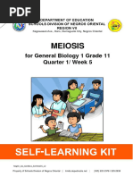 Video Recap of Meiosis by Amoeba Sisters Updated Pictures | PDF | Meiosis | Chromosome