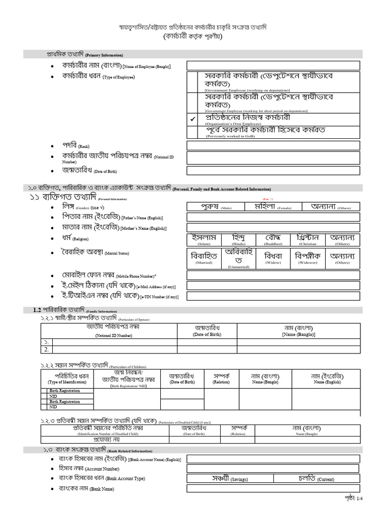 iBAS++ Form | PDF