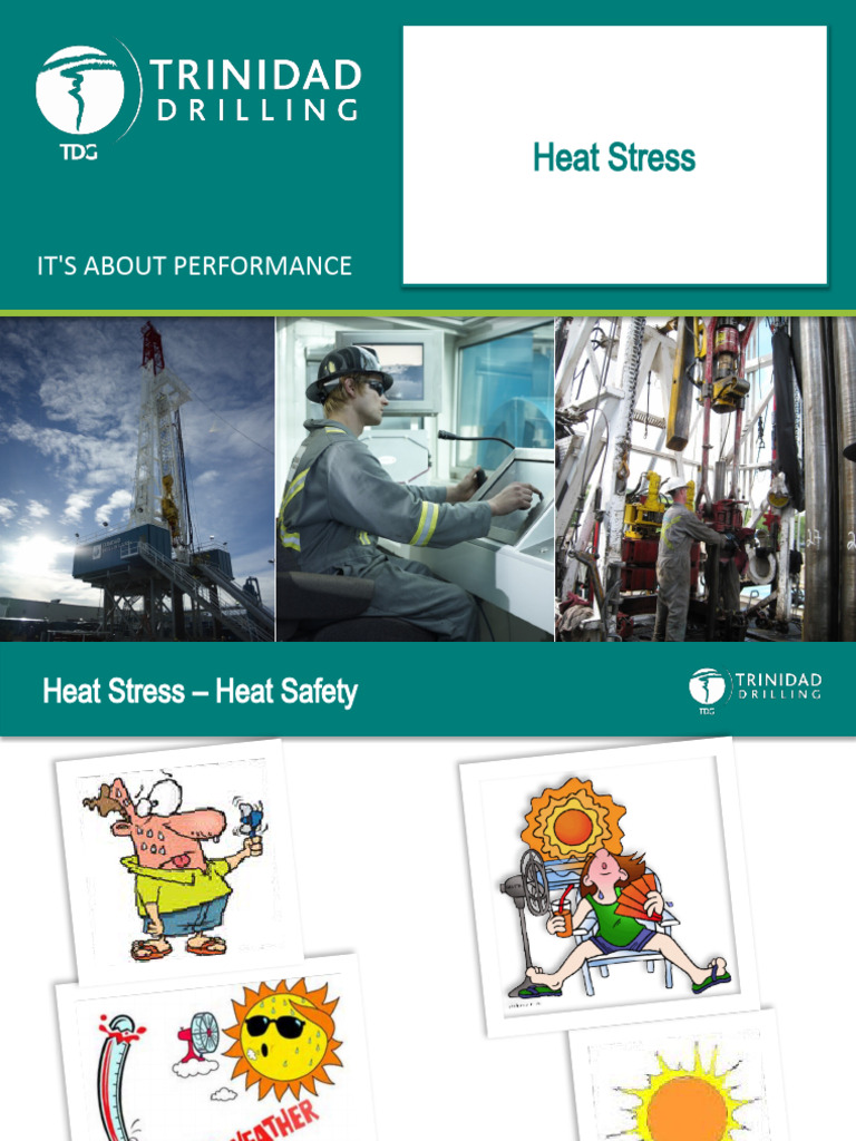 Heat Stress | PDF
