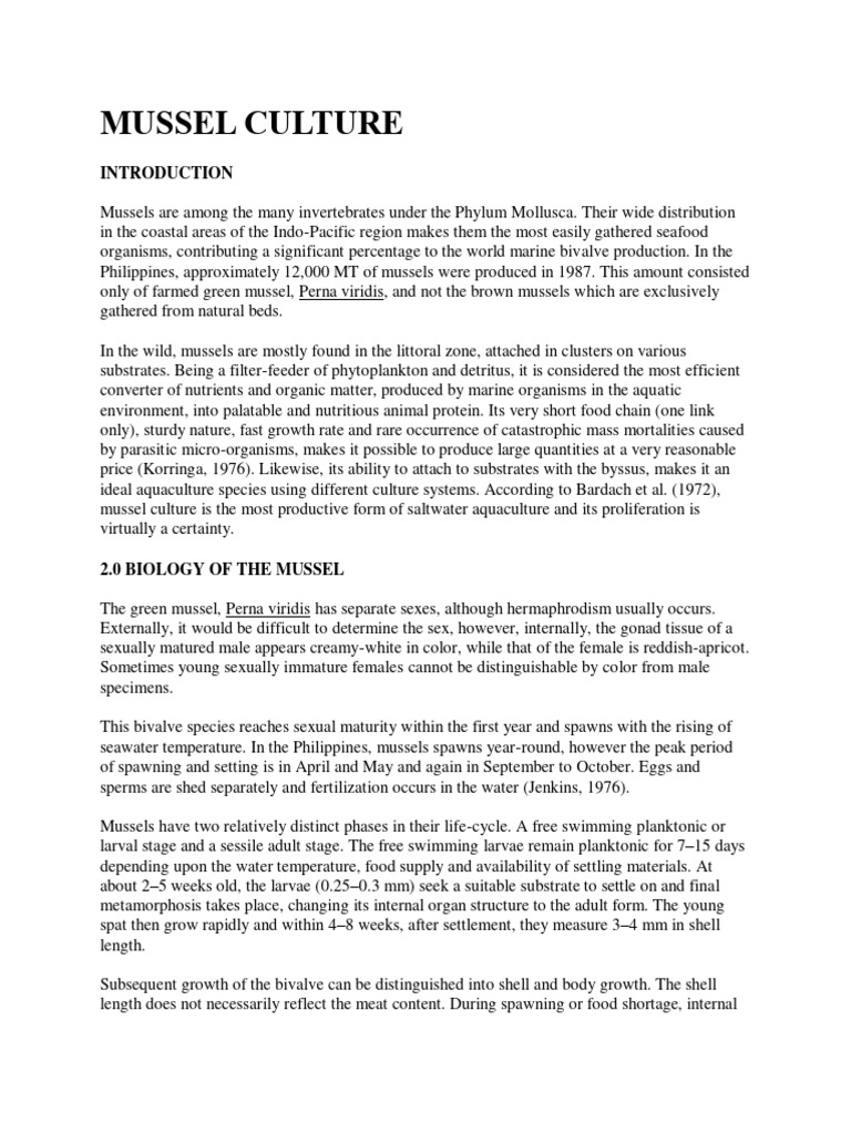 Mussel Culture | PDF