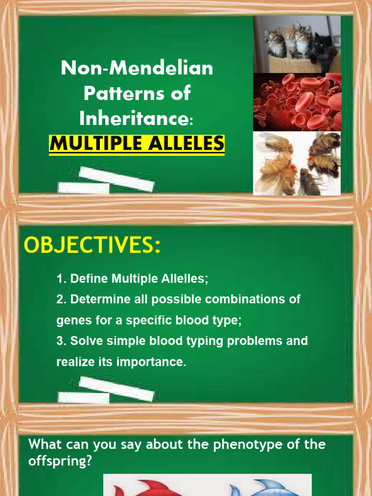 q1 Week 4 Non Mendelian Multiple Alleles | PDF | Dominance (Genetics) | Genotype