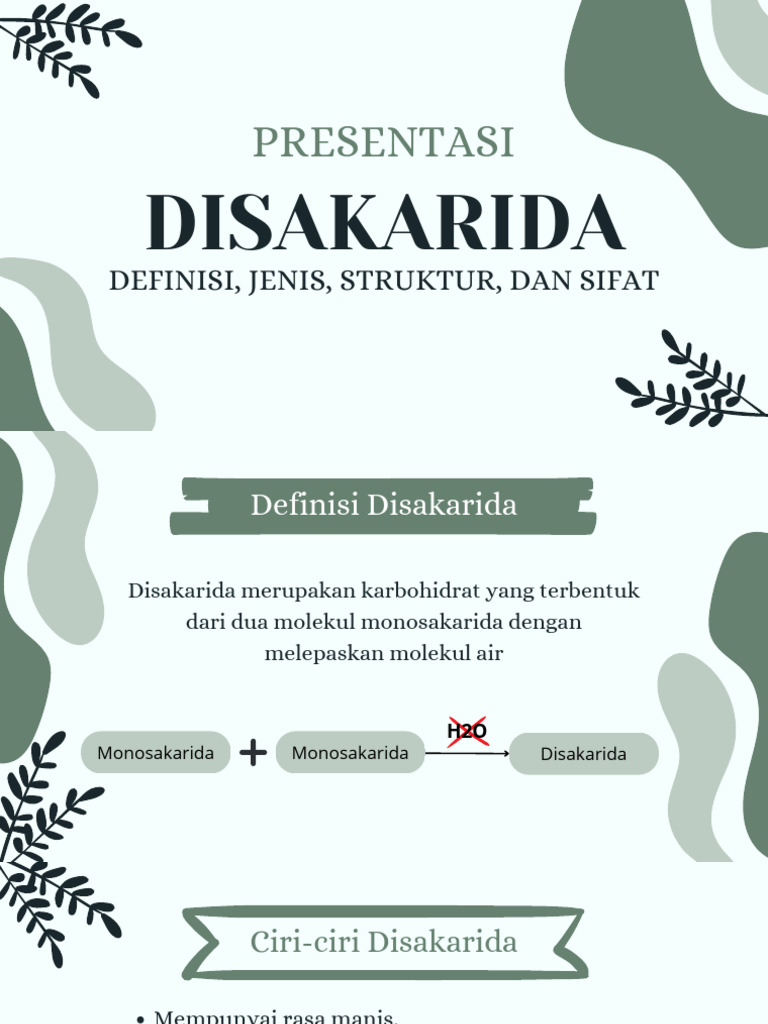 Nakeisha Ozora - 045 - Definisi, Struktur, Jenis, Sifat Disakarida | PDF