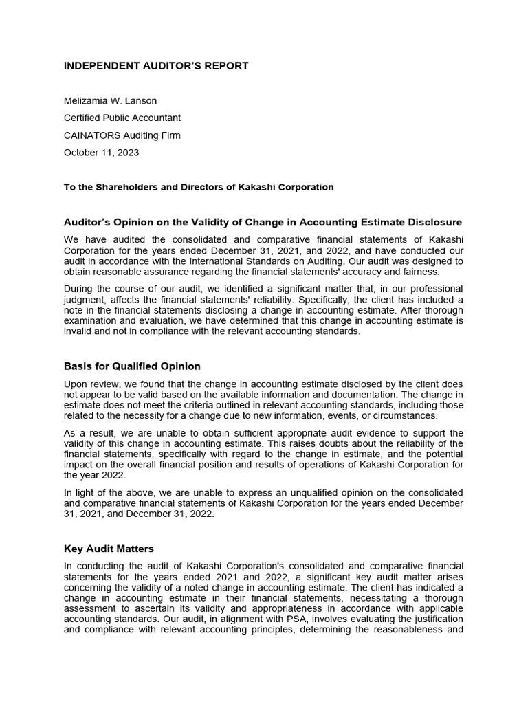 Independent Auditor | PDF | Going Concern | Audit