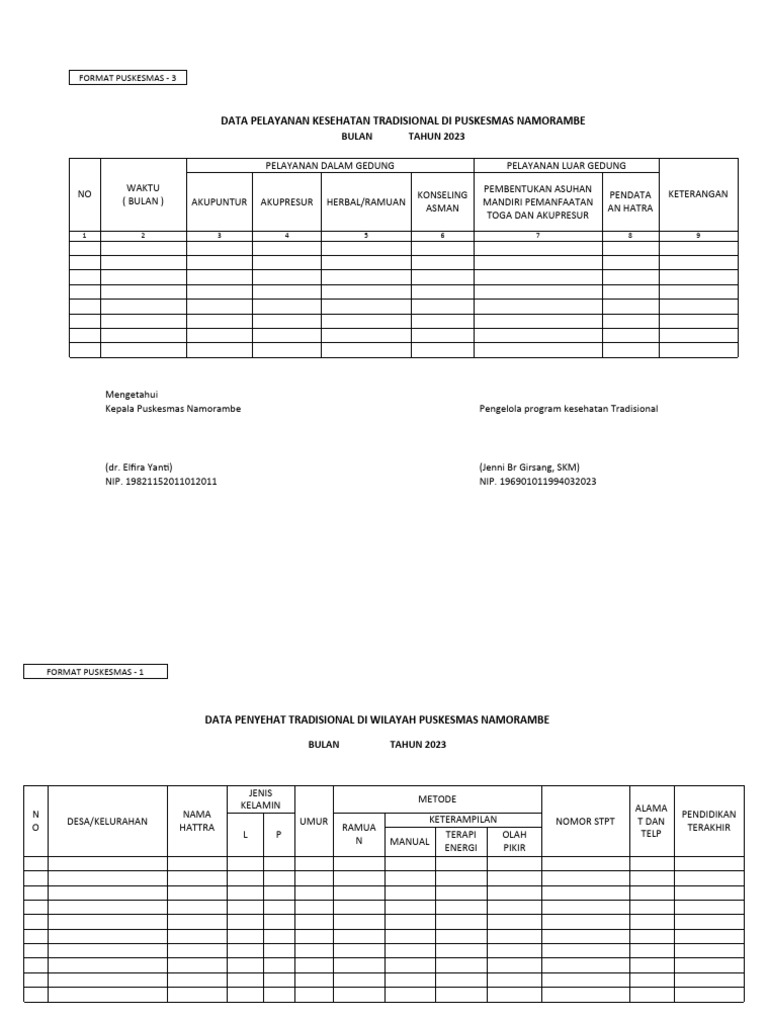 Format Puskesmas | PDF